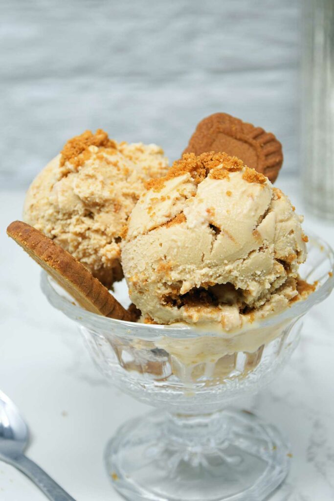 Biscoff Ice Cream - Culinary Shades
