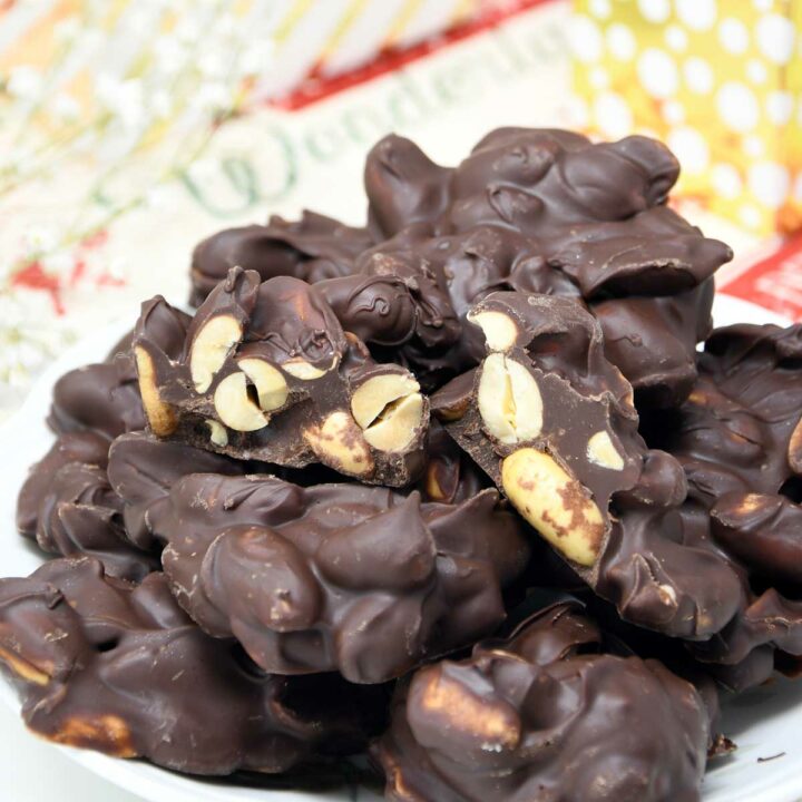 Chocolate Covered Peanuts - Culinary Shades