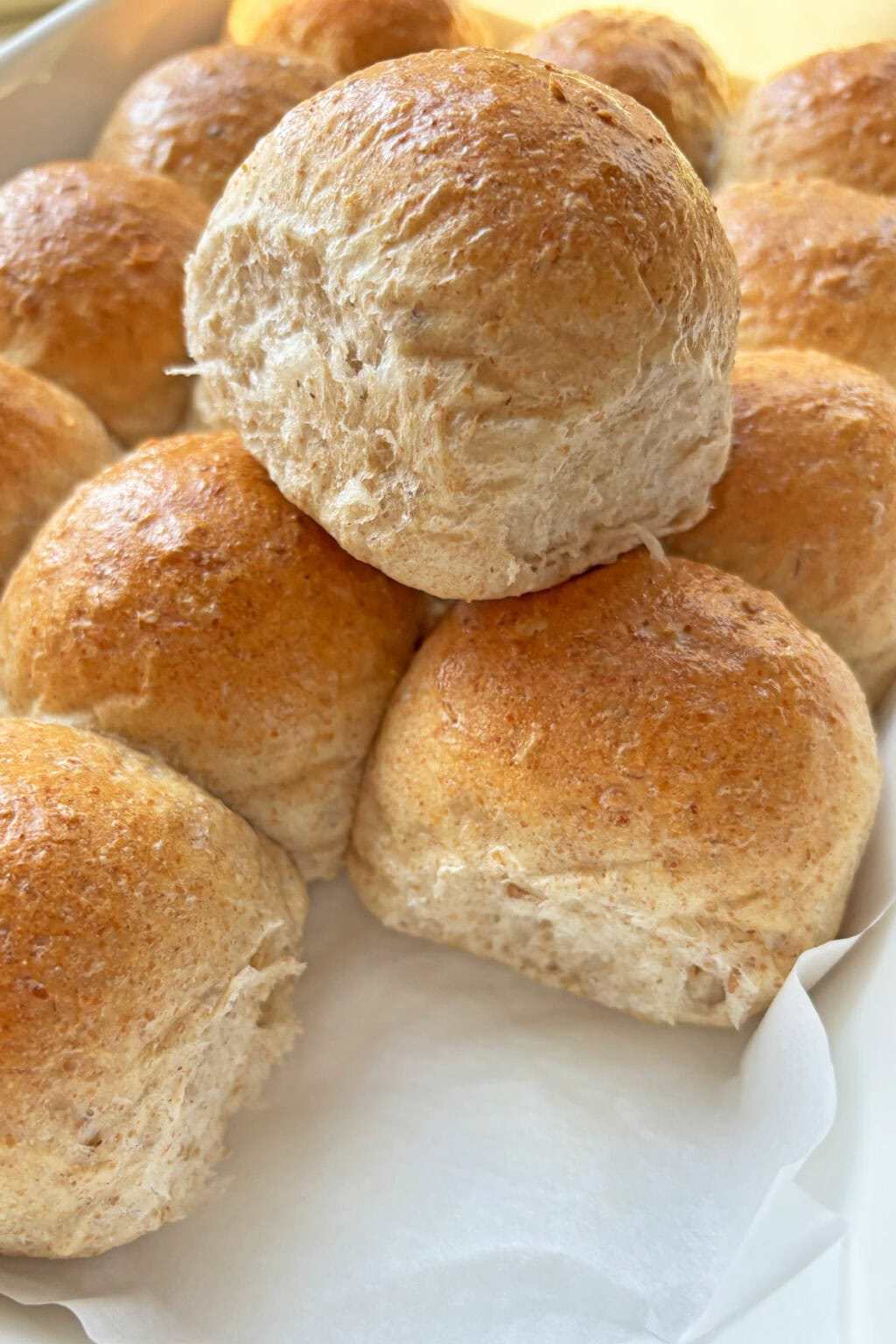 Multigrain Dinner Rolls - Culinary Shades