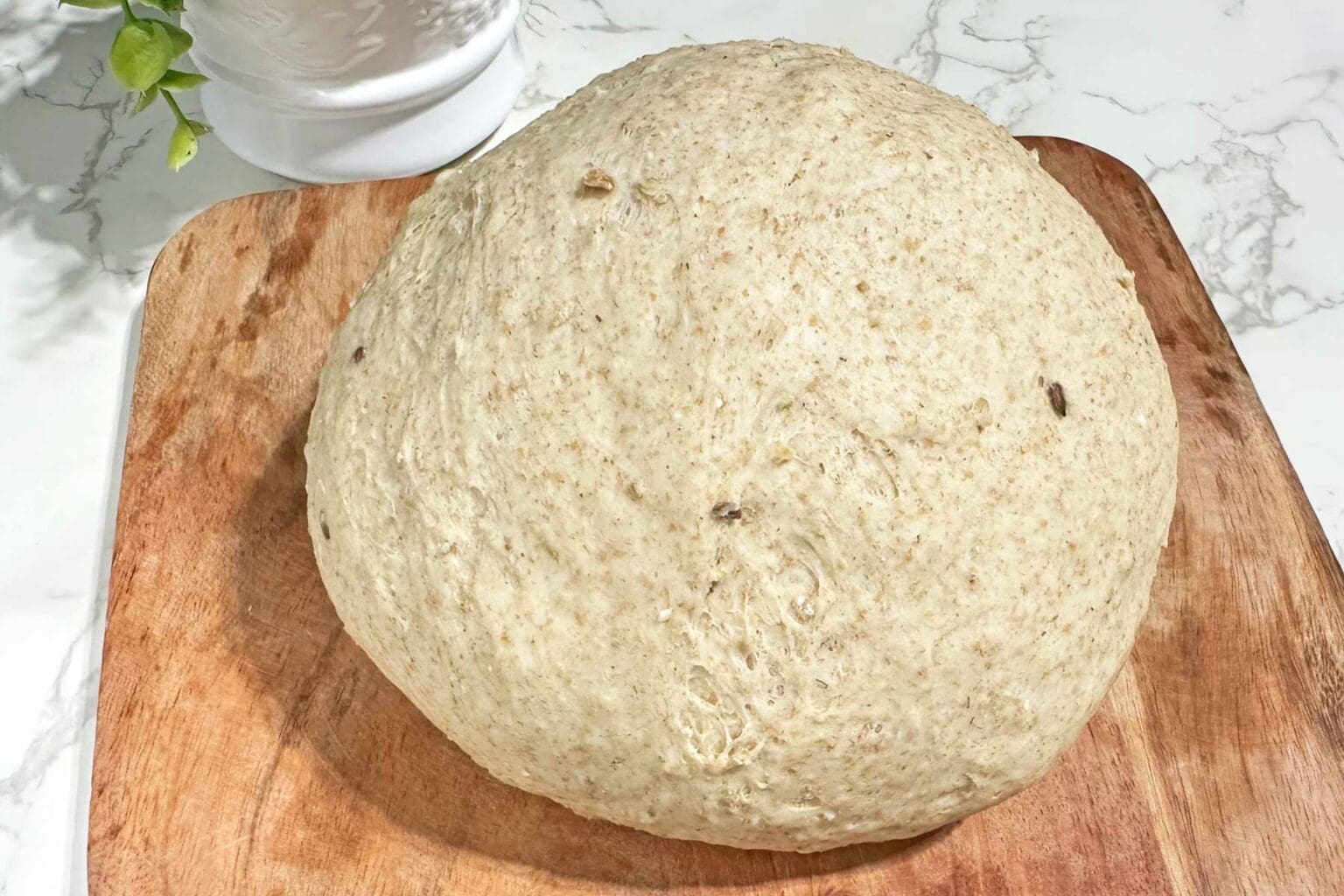 Multigrain Pizza Dough - Culinary Shades