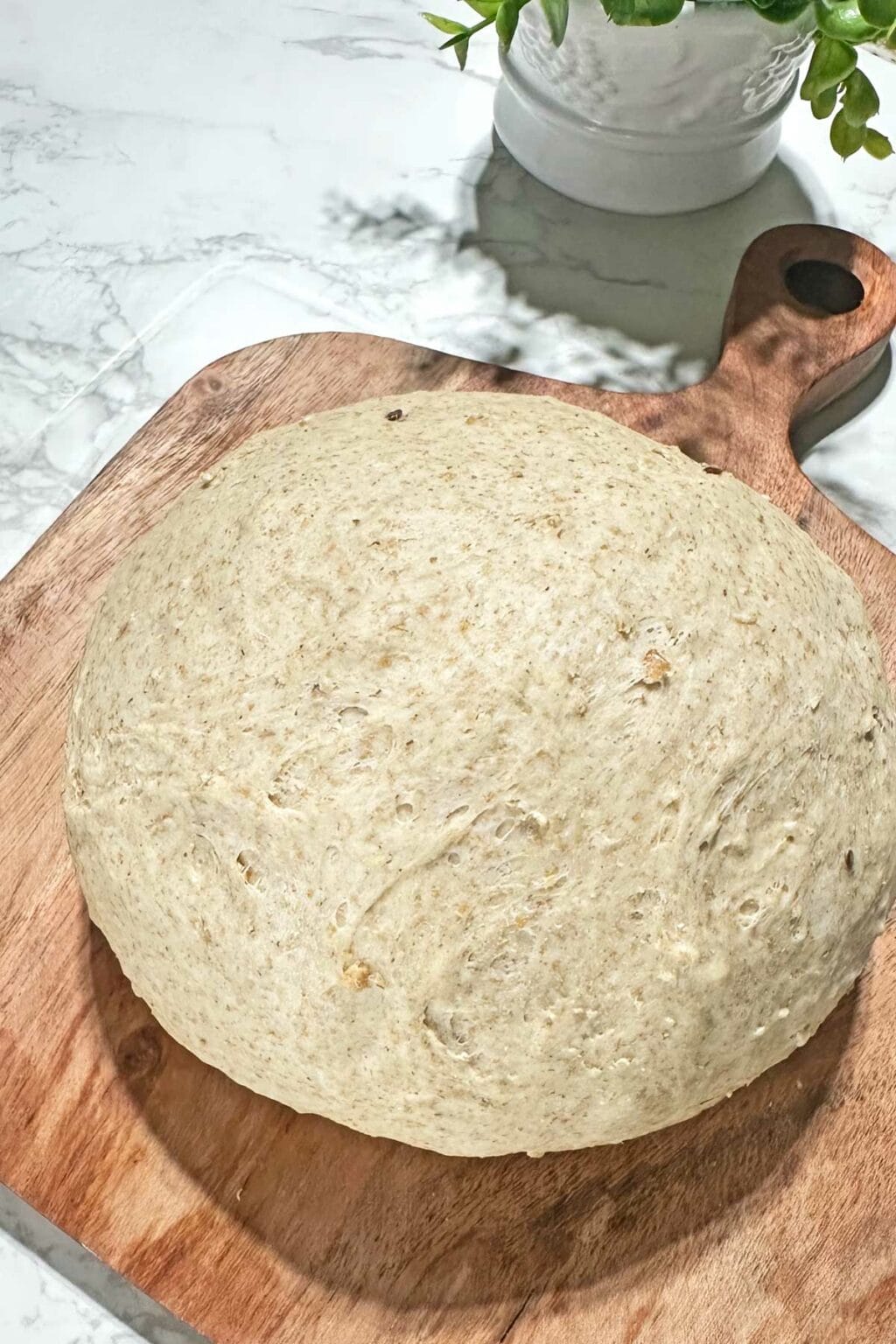 Multigrain Pizza Dough - Culinary Shades