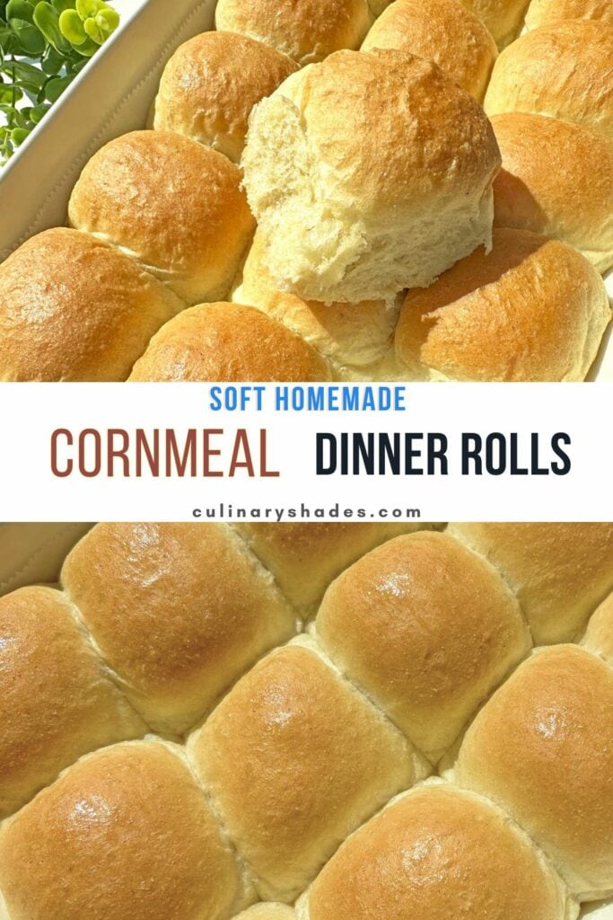 Cornmeal Dinner Rolls - Culinary Shades