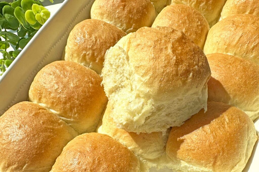 Cornmeal Dinner Rolls - Culinary Shades