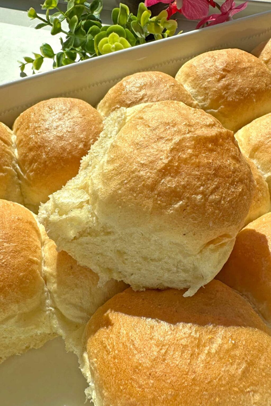 Cornmeal Dinner Rolls - Culinary Shades