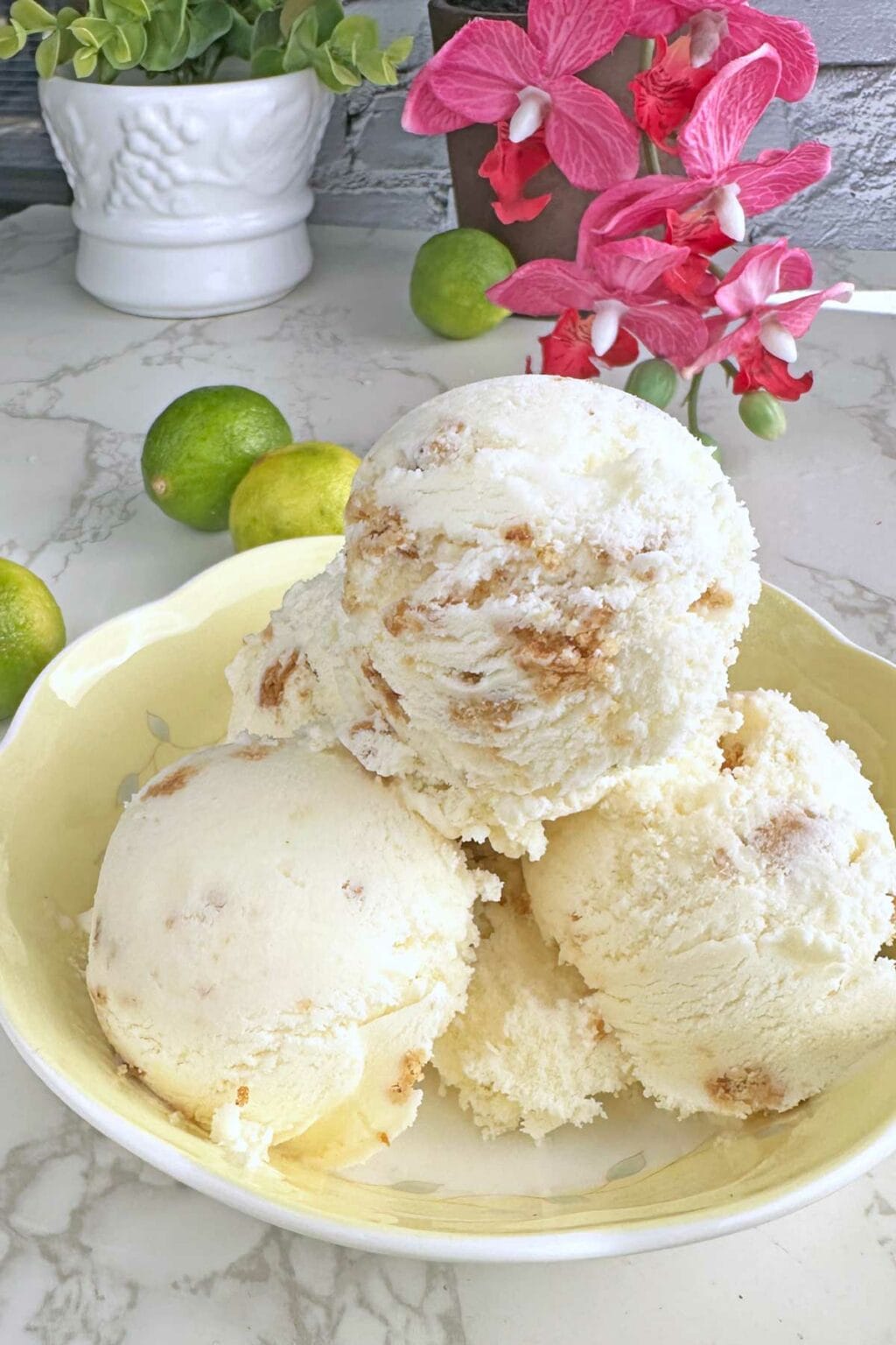 Key Lime Pie Ice Cream - Culinary Shades