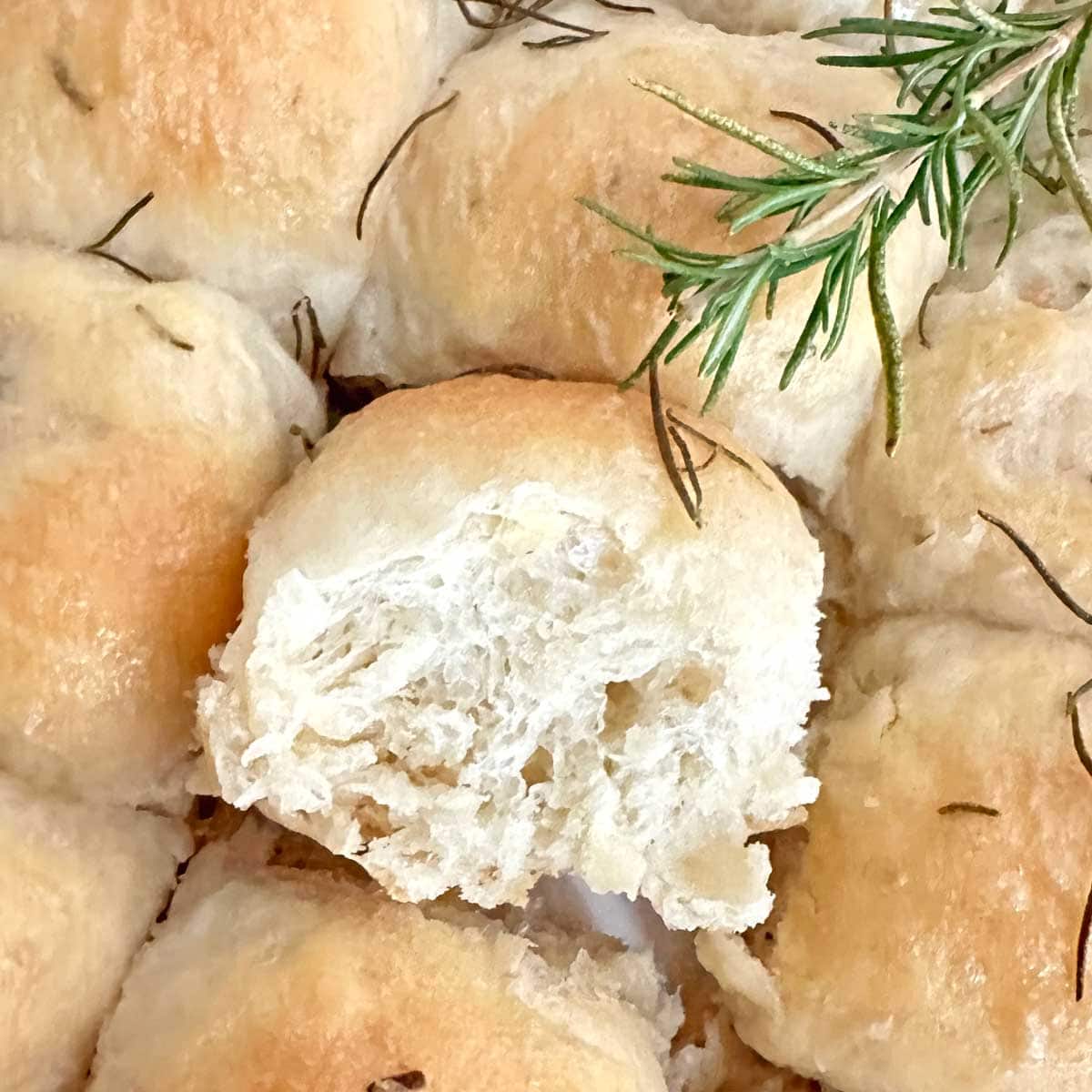 Rosemary Garlic Dinner Rolls - Culinary Shades